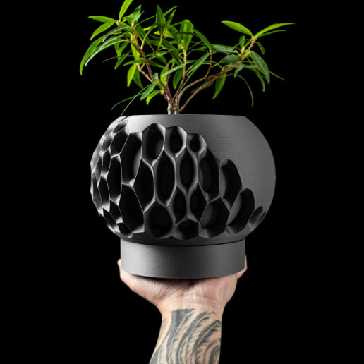 Virus Planter – Enovaura